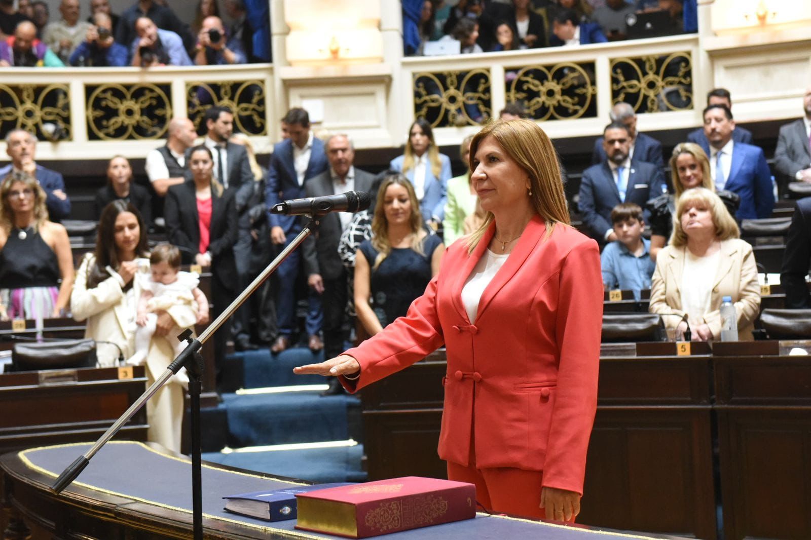 Viviana Guzzo renovó su banca como Diputada Provincial: "Es un honor ...